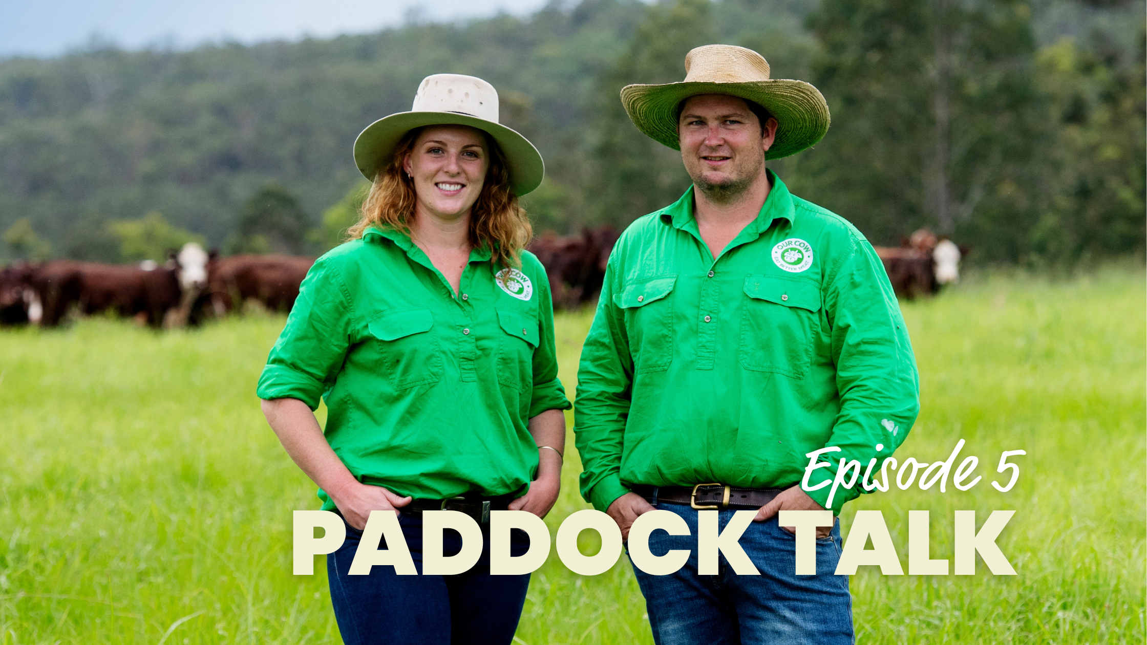 Paddock Talk: Episode 5 - How Cameron Murray is Fueling His Comeback ...