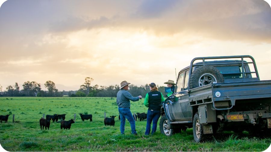 Our Cow Farmers Leading the Way in Sustainable Australian Farming | Our Cow